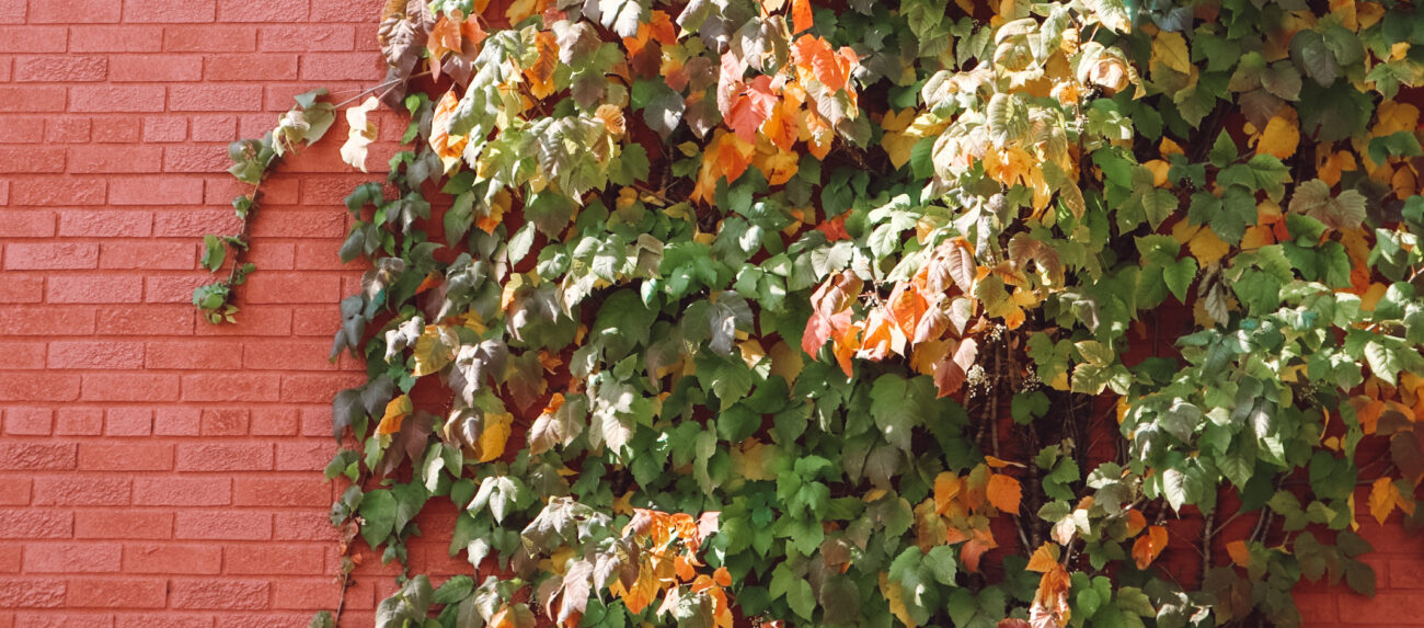 Detroit Itineraries for Everyone | Detroit Vacation | VisitDetroit.com